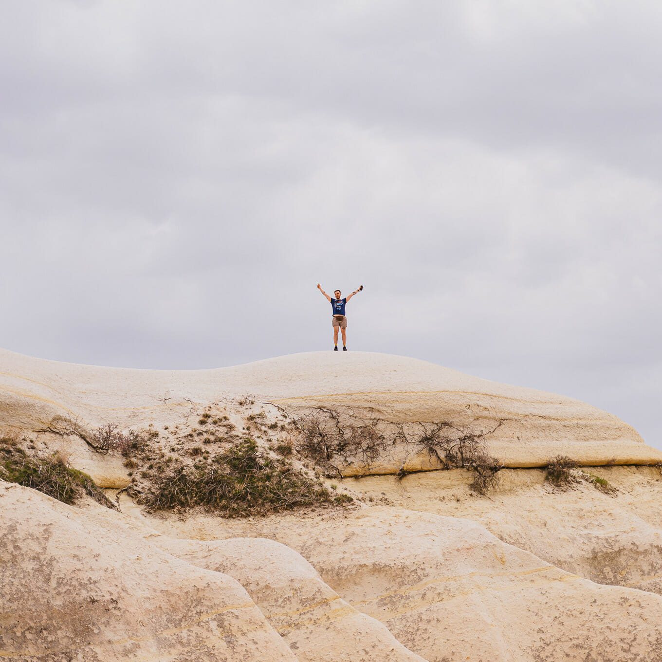 The Swedish Public Employment Service - Sofigate